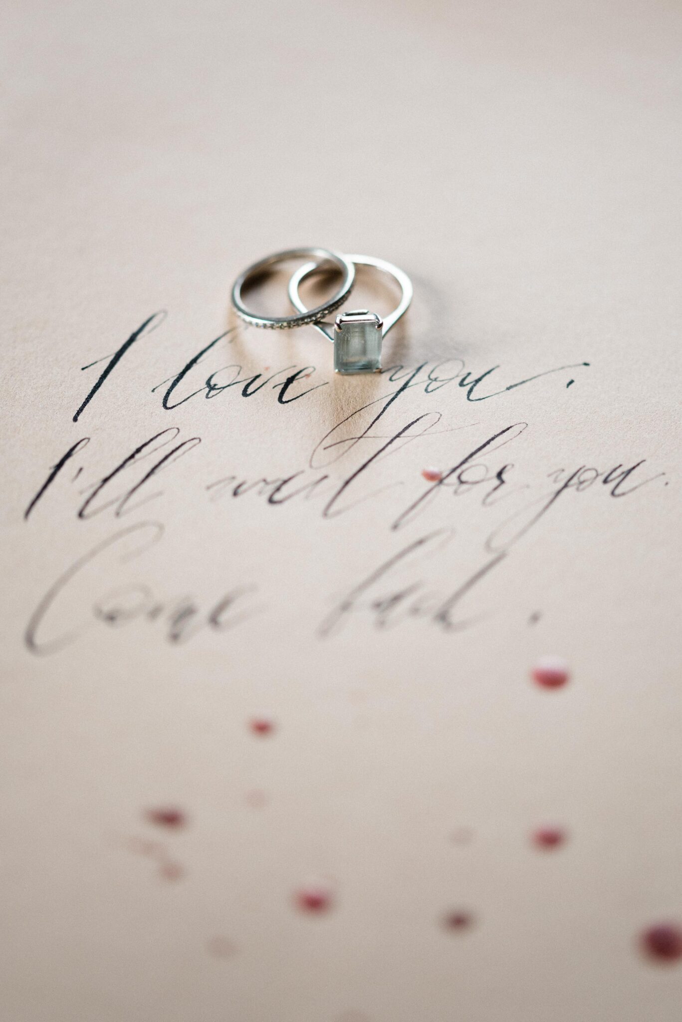Hochzeitsfotograf am Bodensee | Anna Zeiter photography